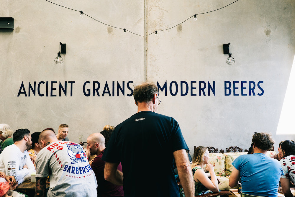 Gluten Free Beer vs Regular Beer: What's the Difference? | TWØBAYS ...